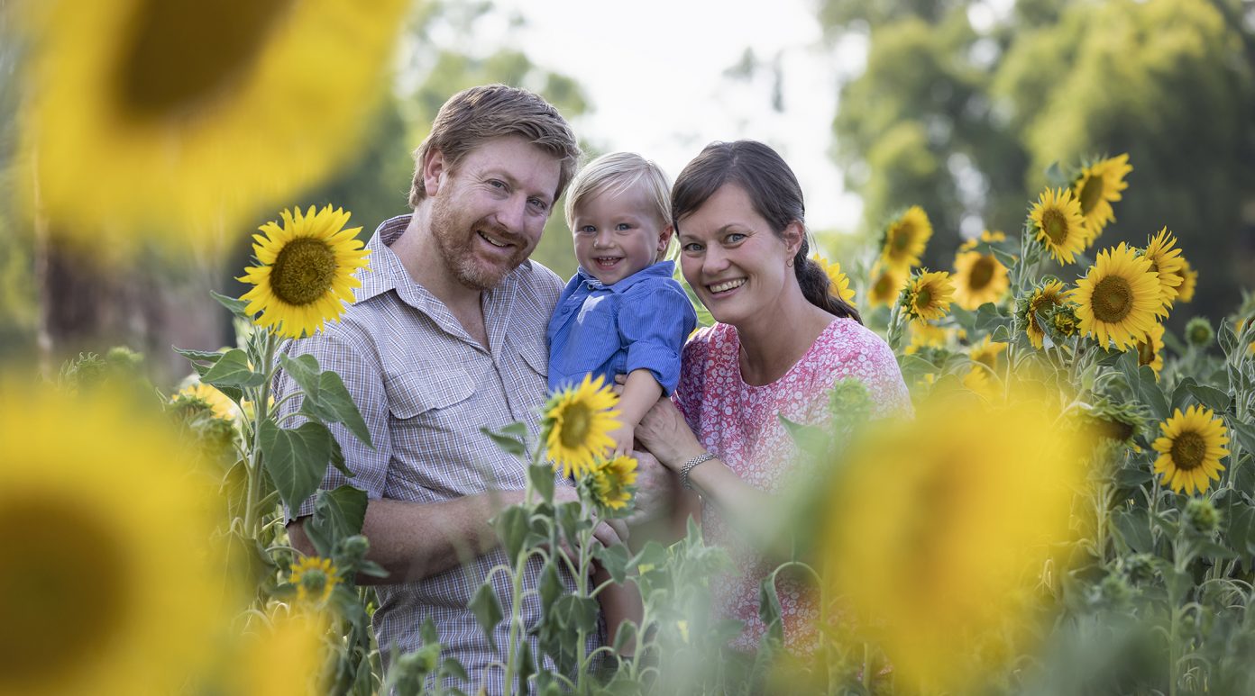 The Field of Happiness | Border Cafe